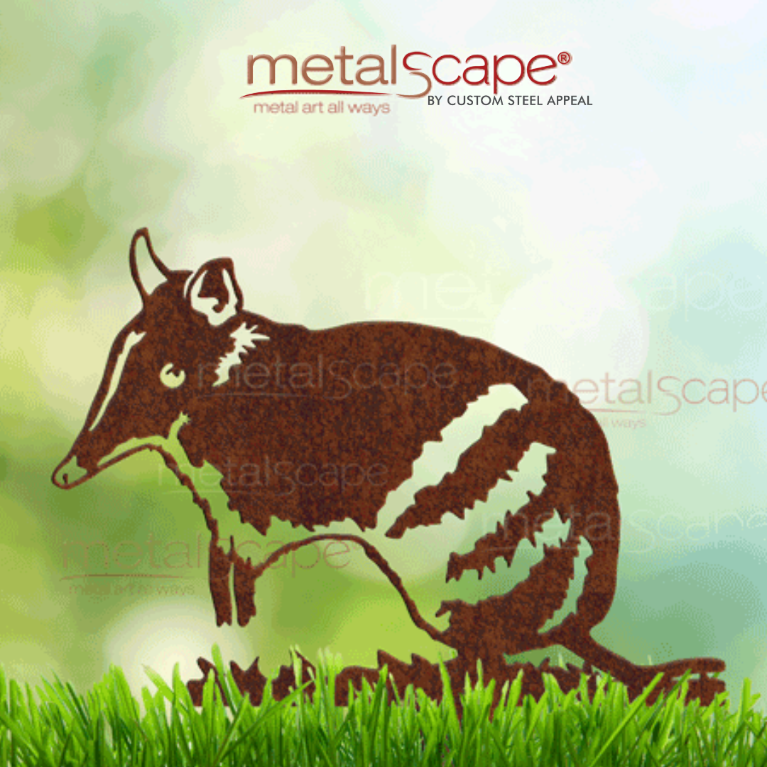 Metalscape Australian Natives – Custom Steel Appeal