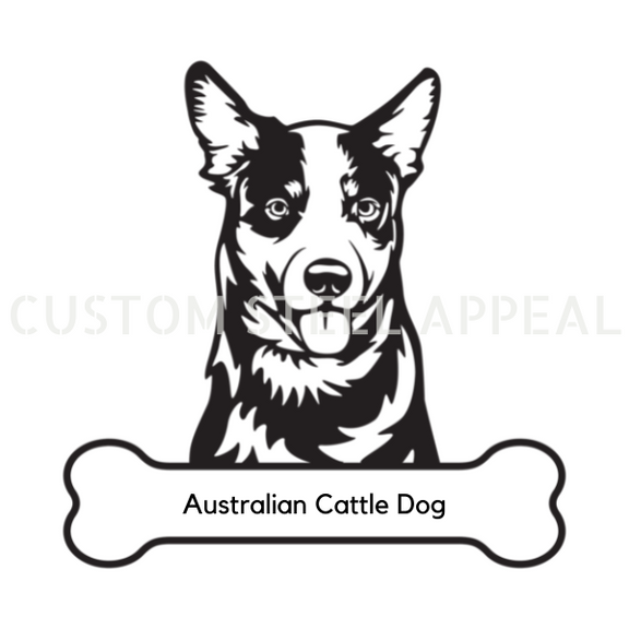 Australian Cattle Dog Portrait Signs – Custom Steel Appeal