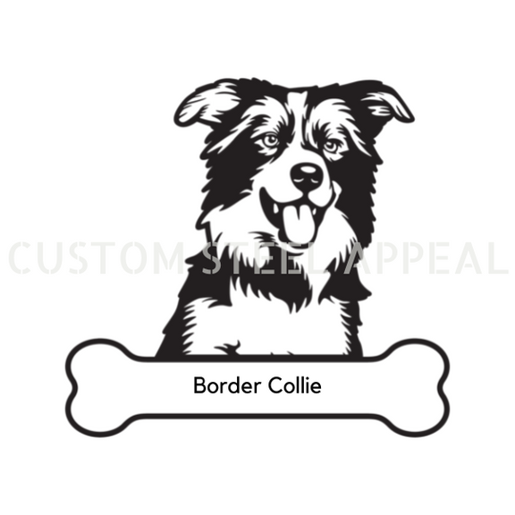 Border Collie Dog Portrait Signs – Custom Steel Appeal