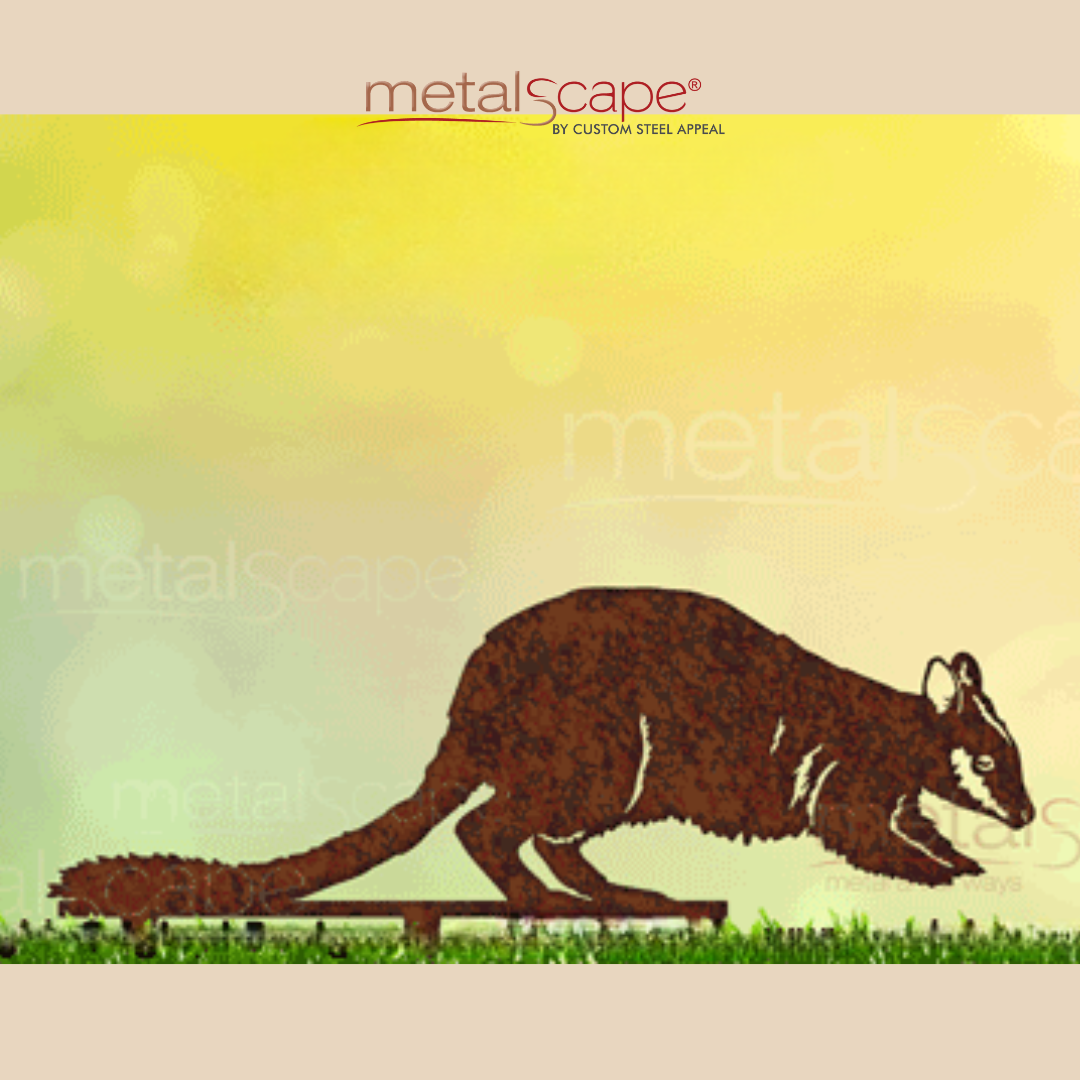 Brush-tailed Rock Wallaby - Juvenile Crawling – Custom Steel Appeal