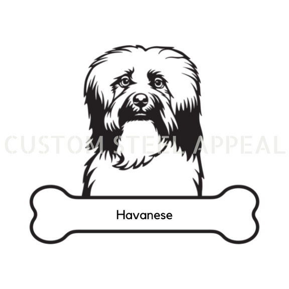 Havanese Dog Portrait Signs – Custom Steel Appeal