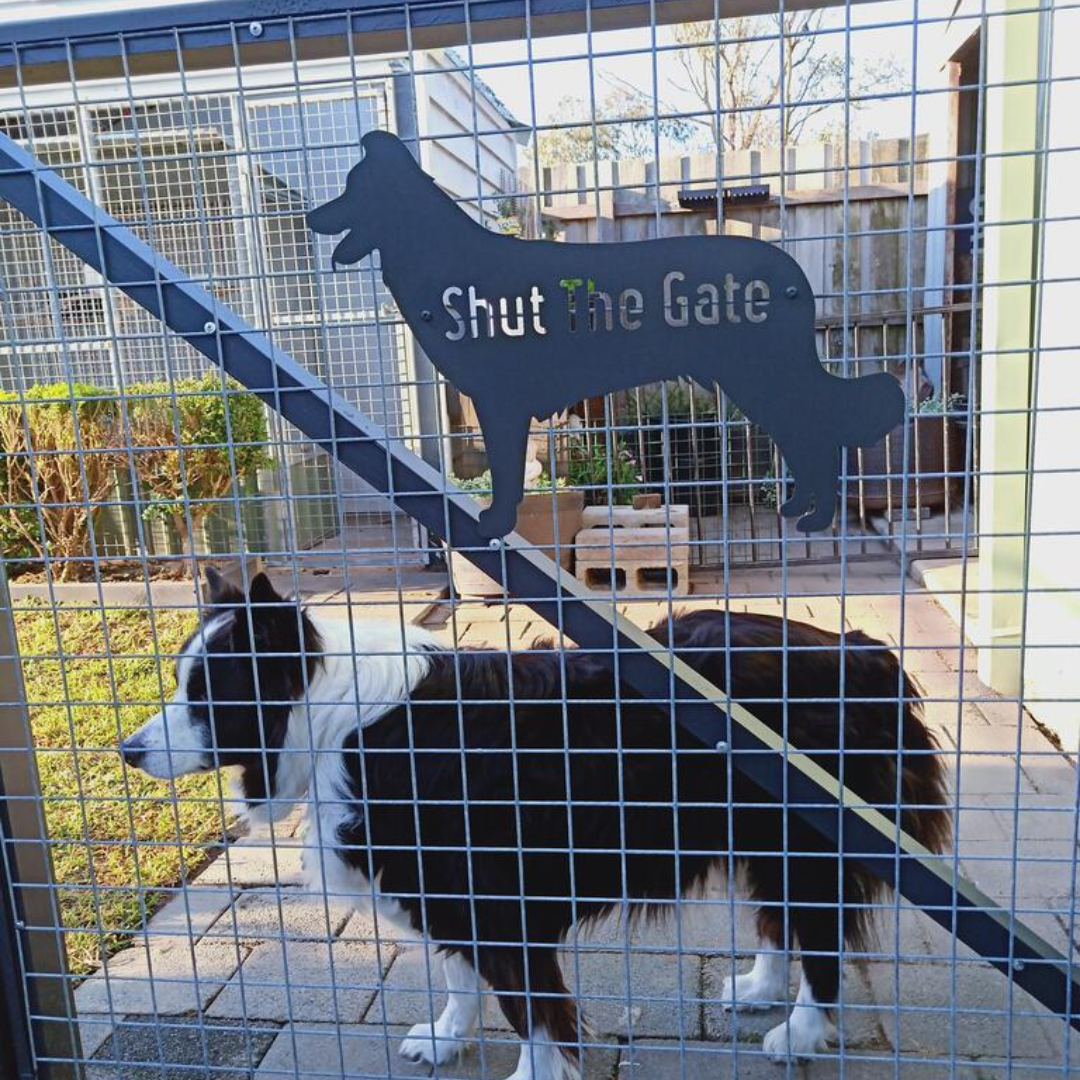 Border Collie Shut the Gate Dog Sign | Custom Steel Appeal
