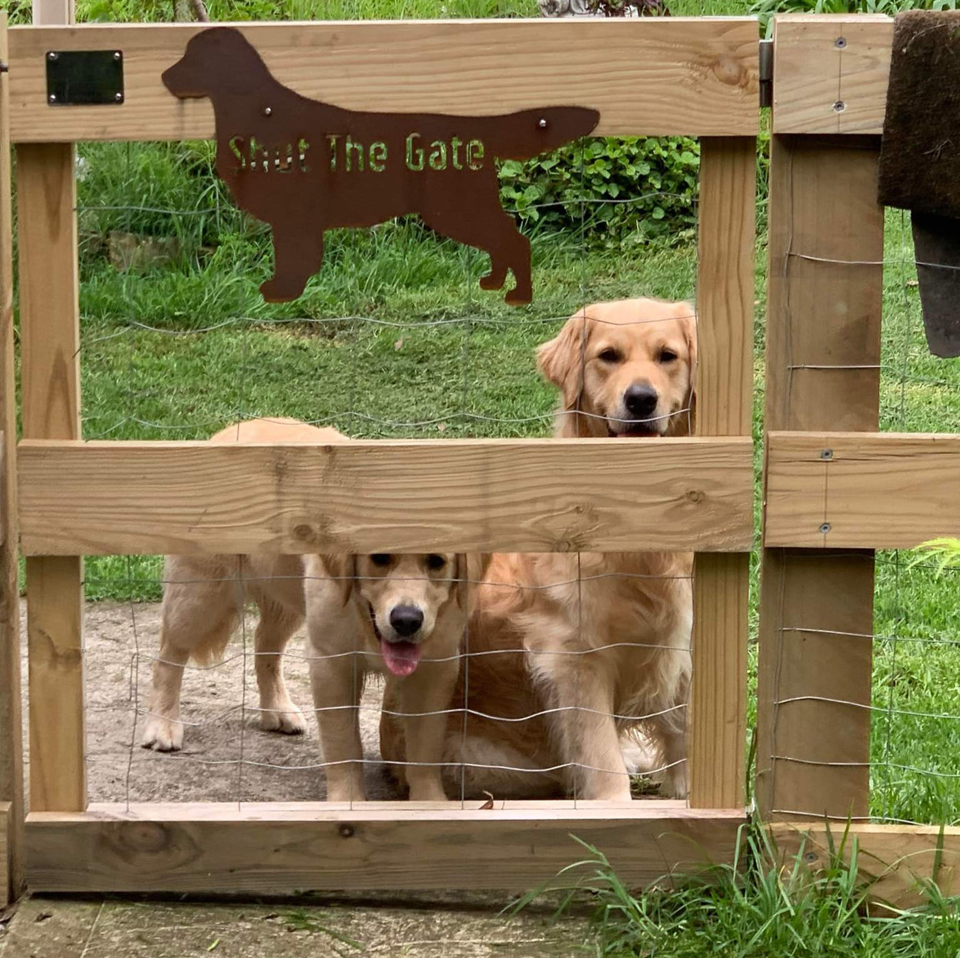 Metalscape Farm Property Signs – Custom Steel Appeal