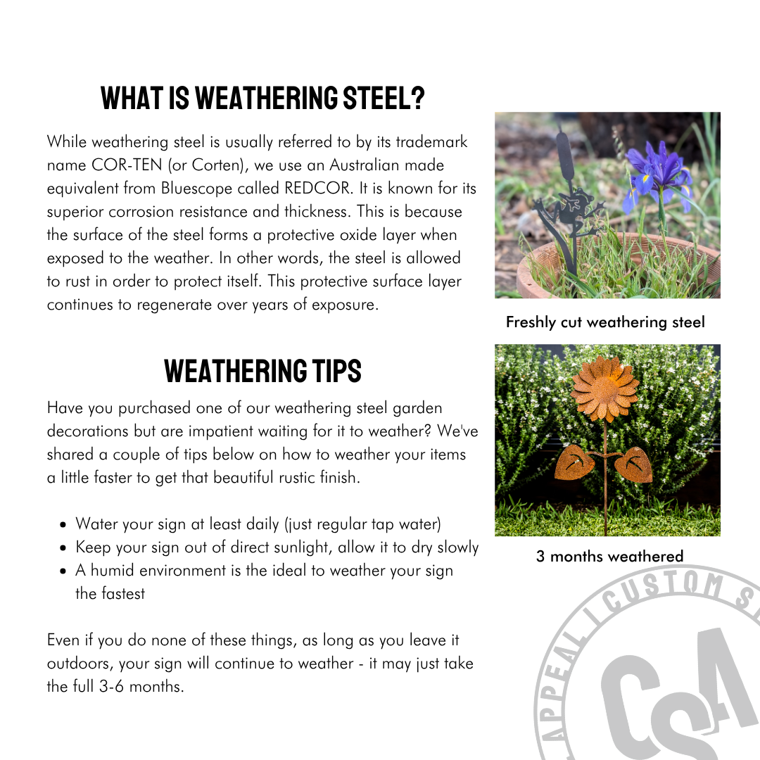 Two Bulrush Reeds and Dragonfly – Custom Steel Appeal