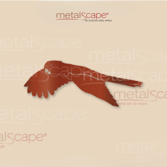 Black Cockatoo Flying Wings Down Wall Art – Custom Steel Appeal