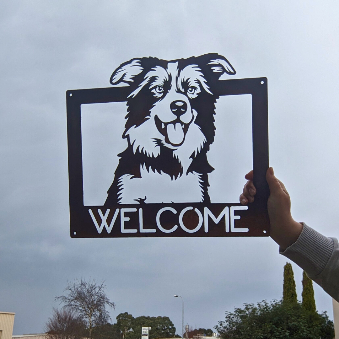 Border Collie Dog Portrait Signs – Custom Steel Appeal