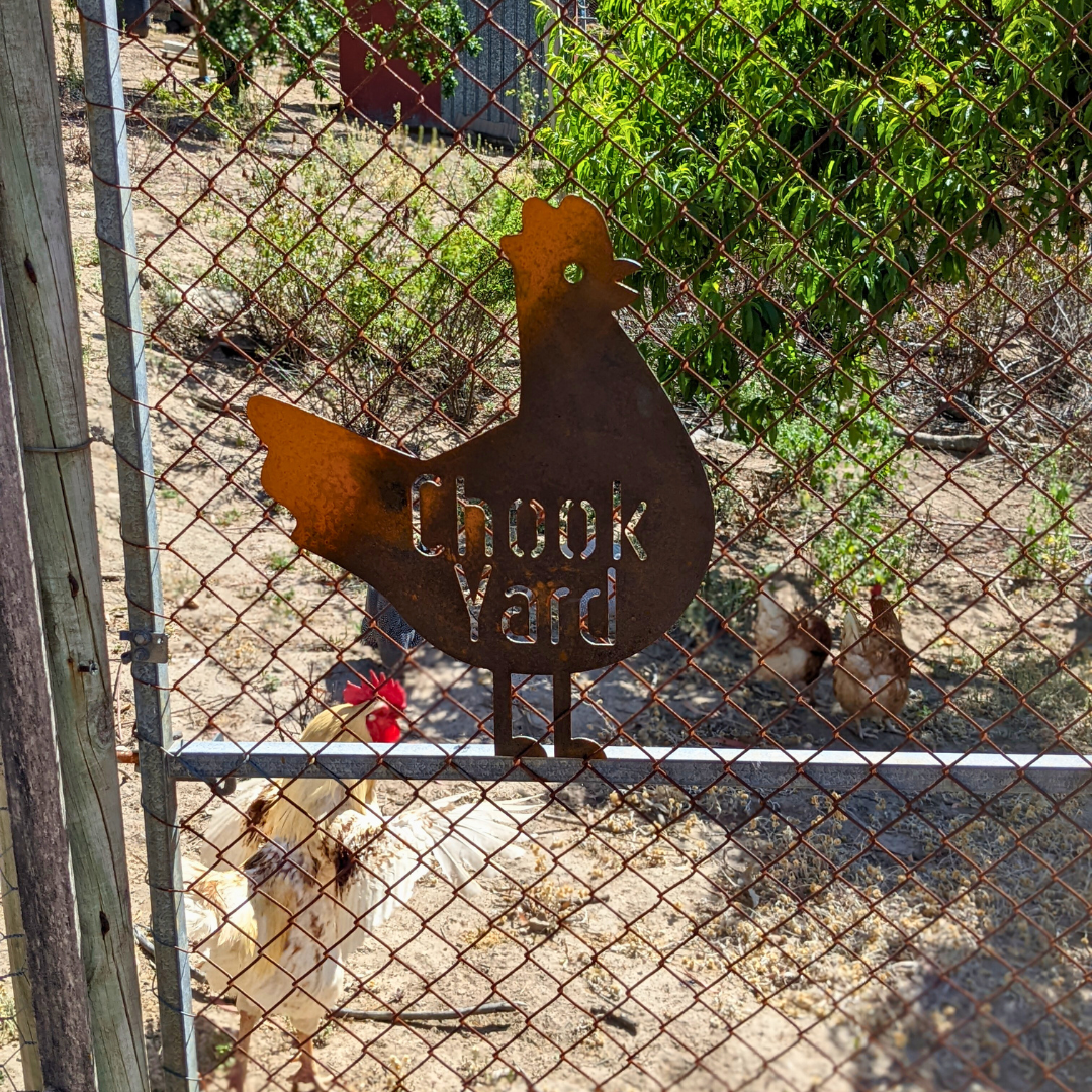 Chicken Sign | Custom Chook Yard Decoration – Custom Steel Appeal