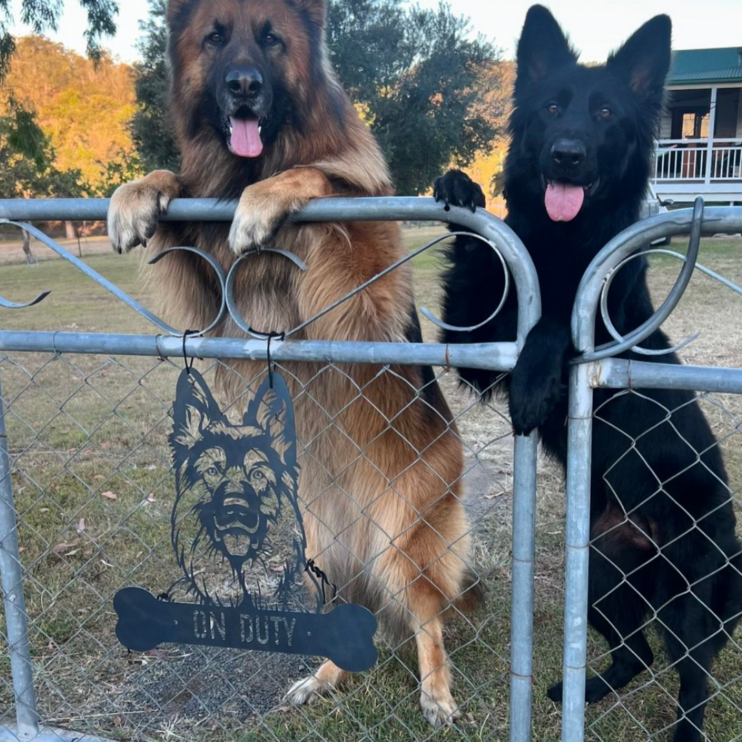 German Shepherd Dog Portrait Signs – Custom Steel Appeal