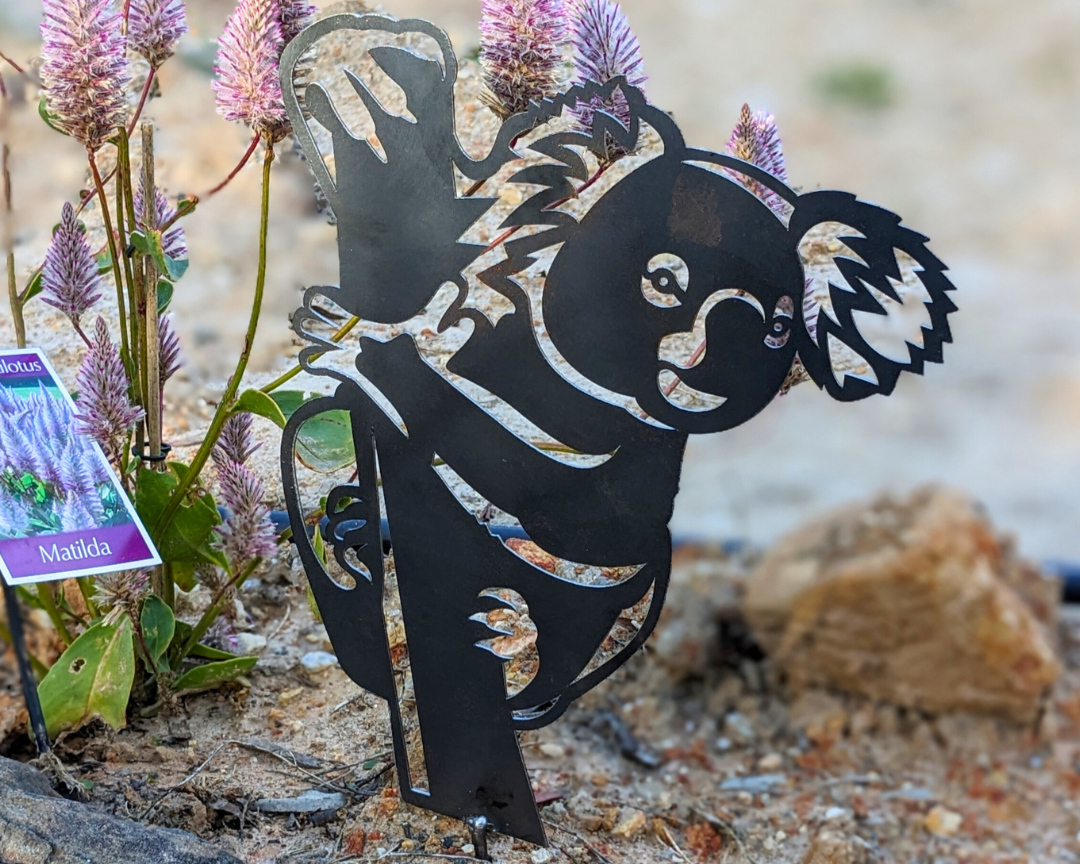 Koala on Branch | Australian Native Animal Garden Art – Custom Steel Appeal