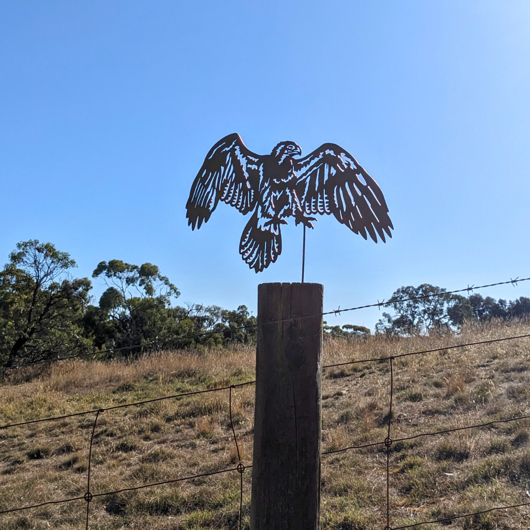 Wedge-Tailed Eagle | Australian Native Animal Garden Art – Custom Steel ...