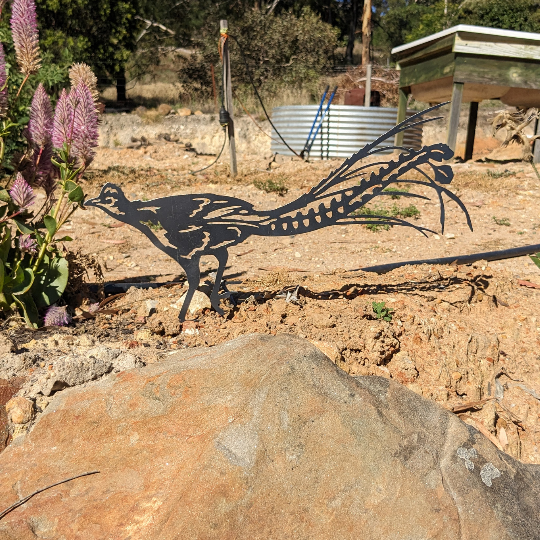 Suburb Lyrebird (Long Tail) | Australian Native Animal Garden Art ...