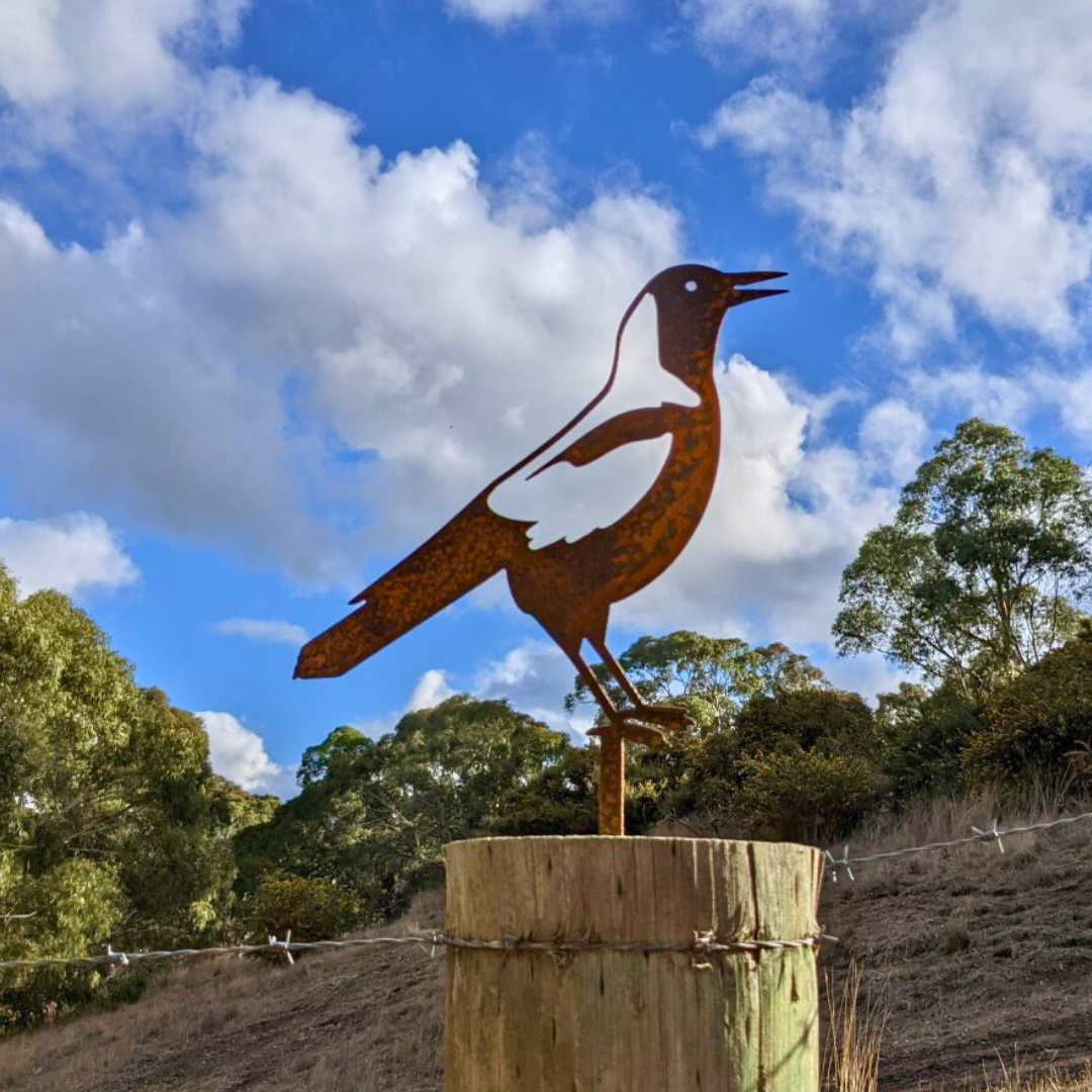Magpie Bundle | Australian Native Bird Garden Art – Custom Steel Appeal