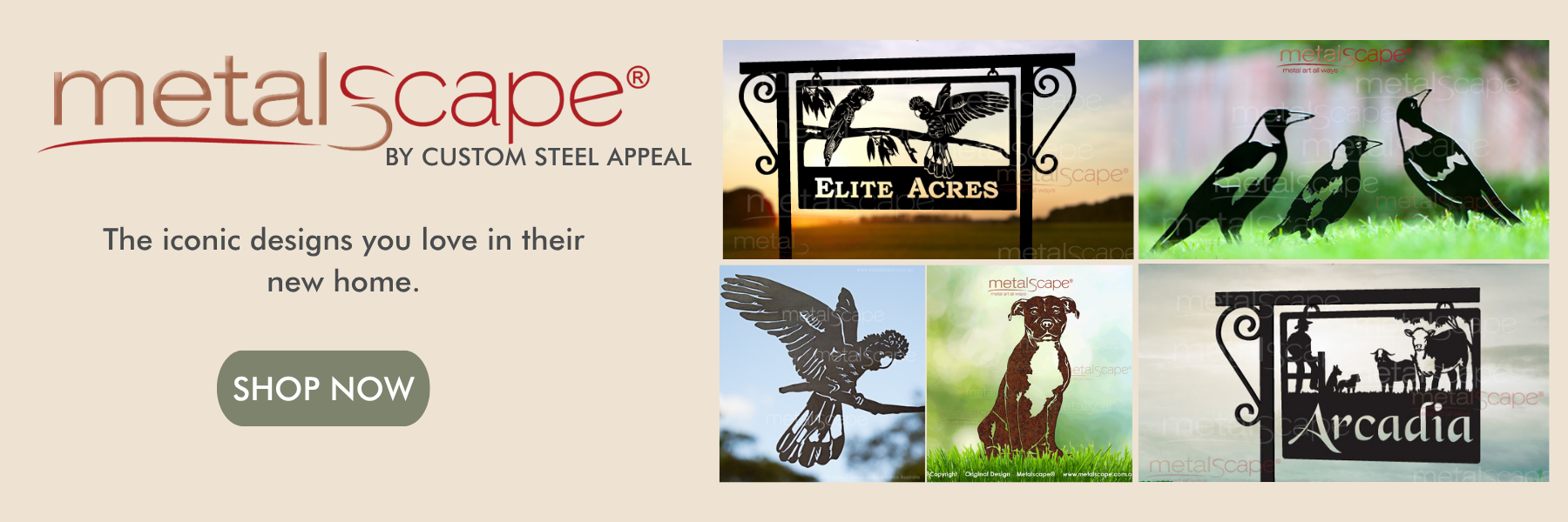 Metalscape Collection – Custom Steel Appeal