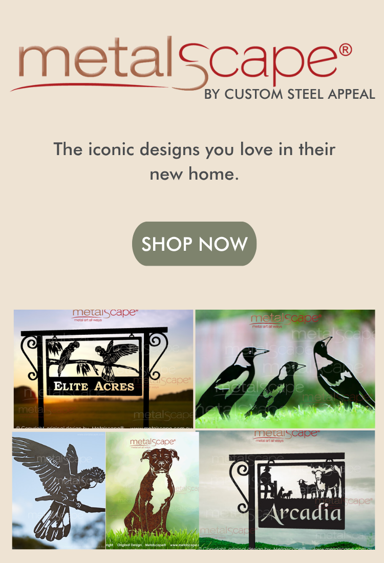 Metalscape Collection – Custom Steel Appeal