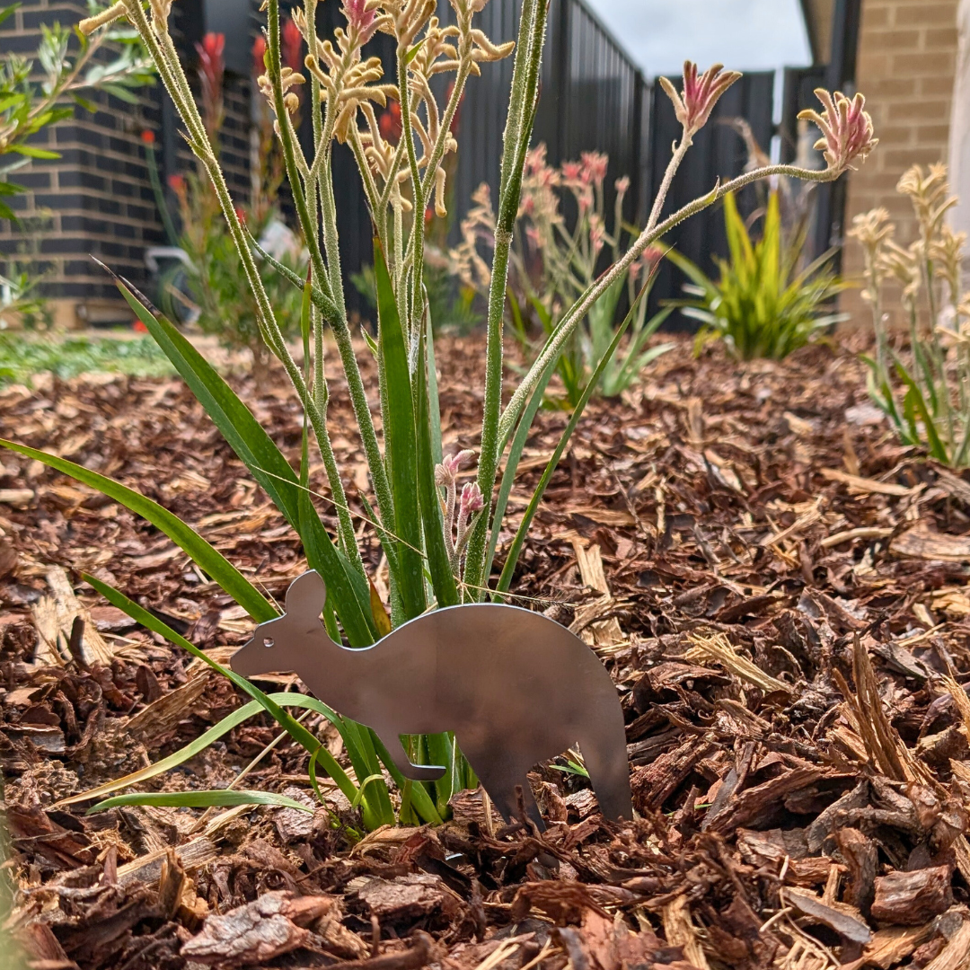 Mini Kangaroo Metal Garden Art | Custom Steel Appeal