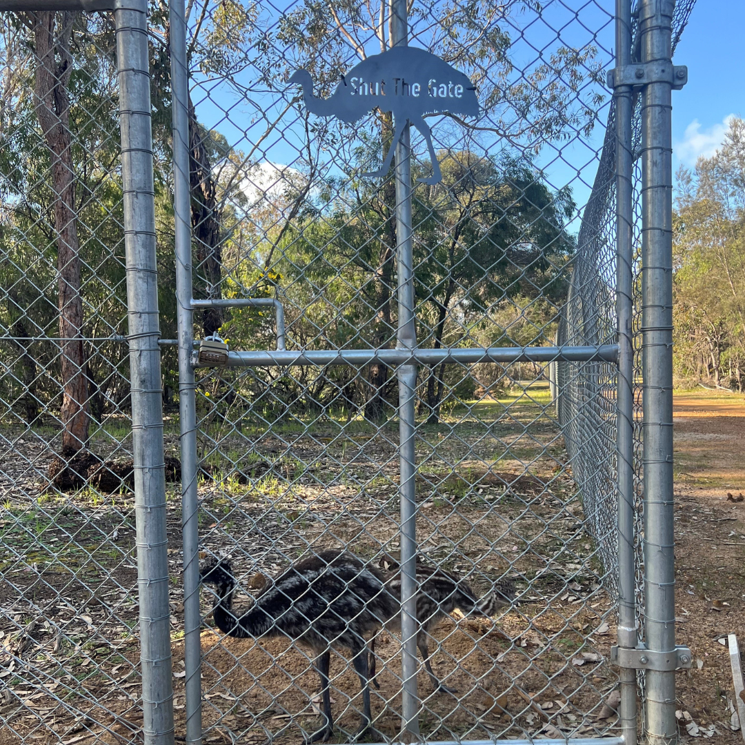 Shut the Gate Emu Sign – Custom Steel Appeal
