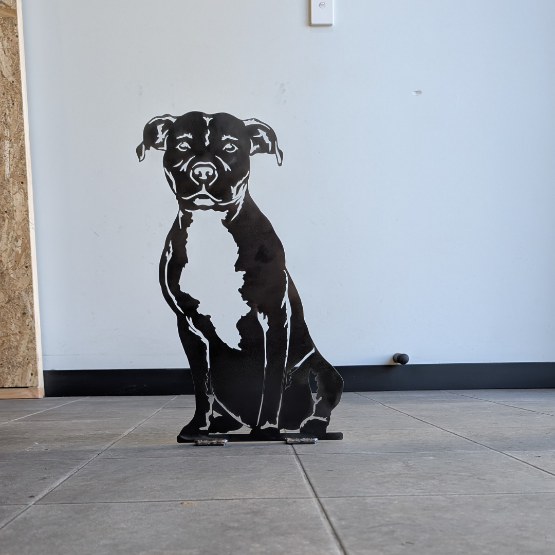 American Staffordshire Bull Terrier Feature – Custom Steel Appeal