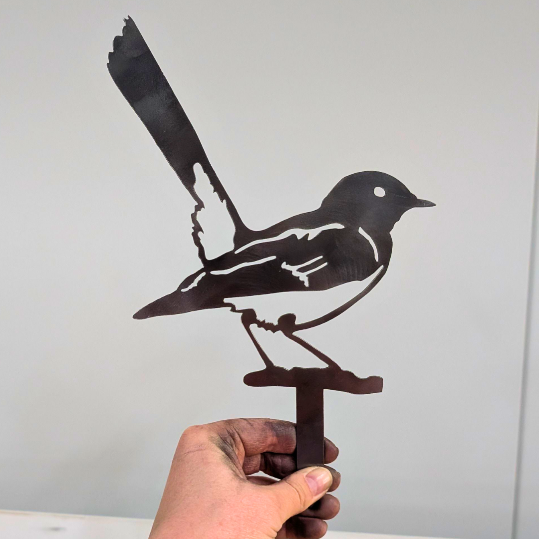 Willie Wagtail 2 – Custom Steel Appeal