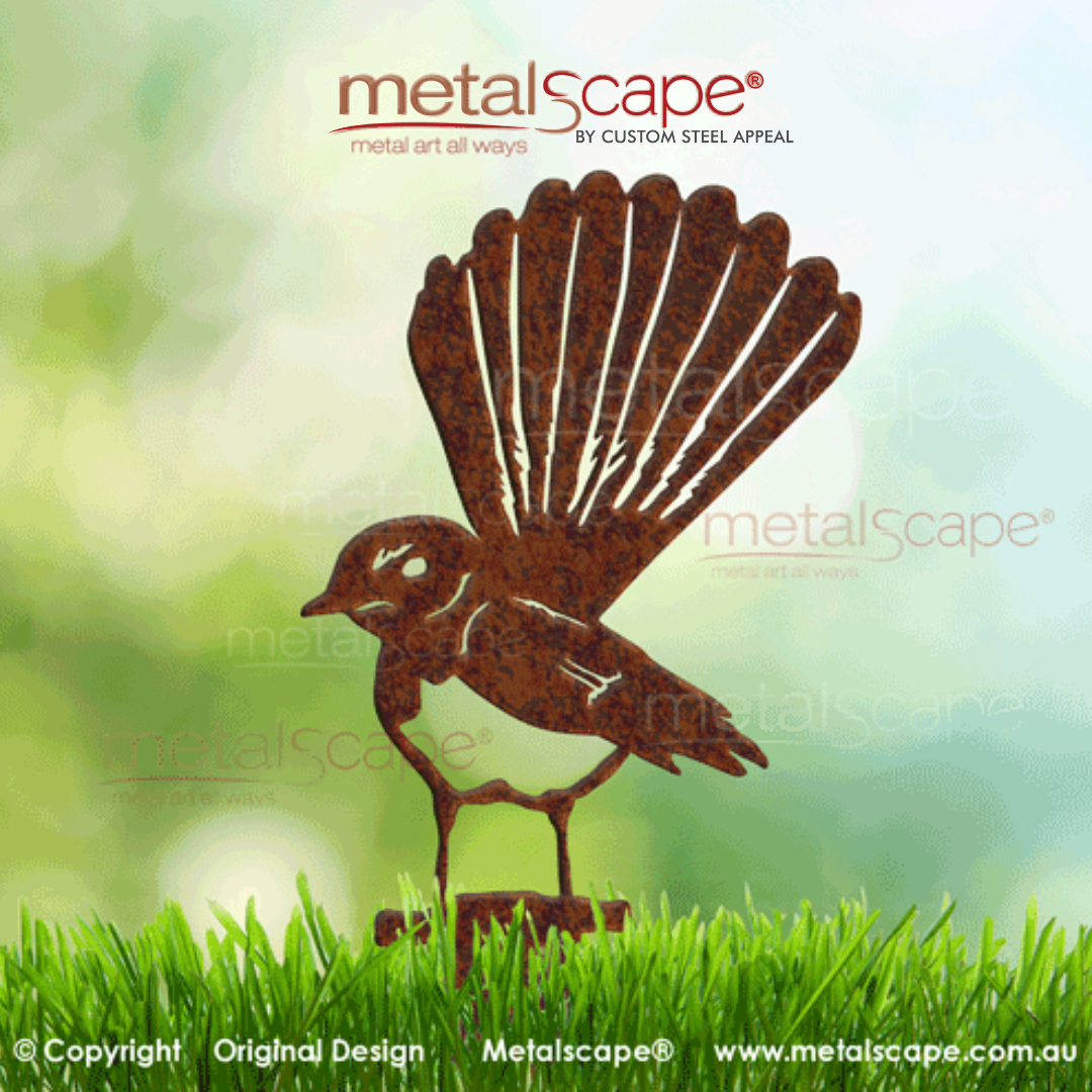 Willie Wagtail – Custom Steel Appeal