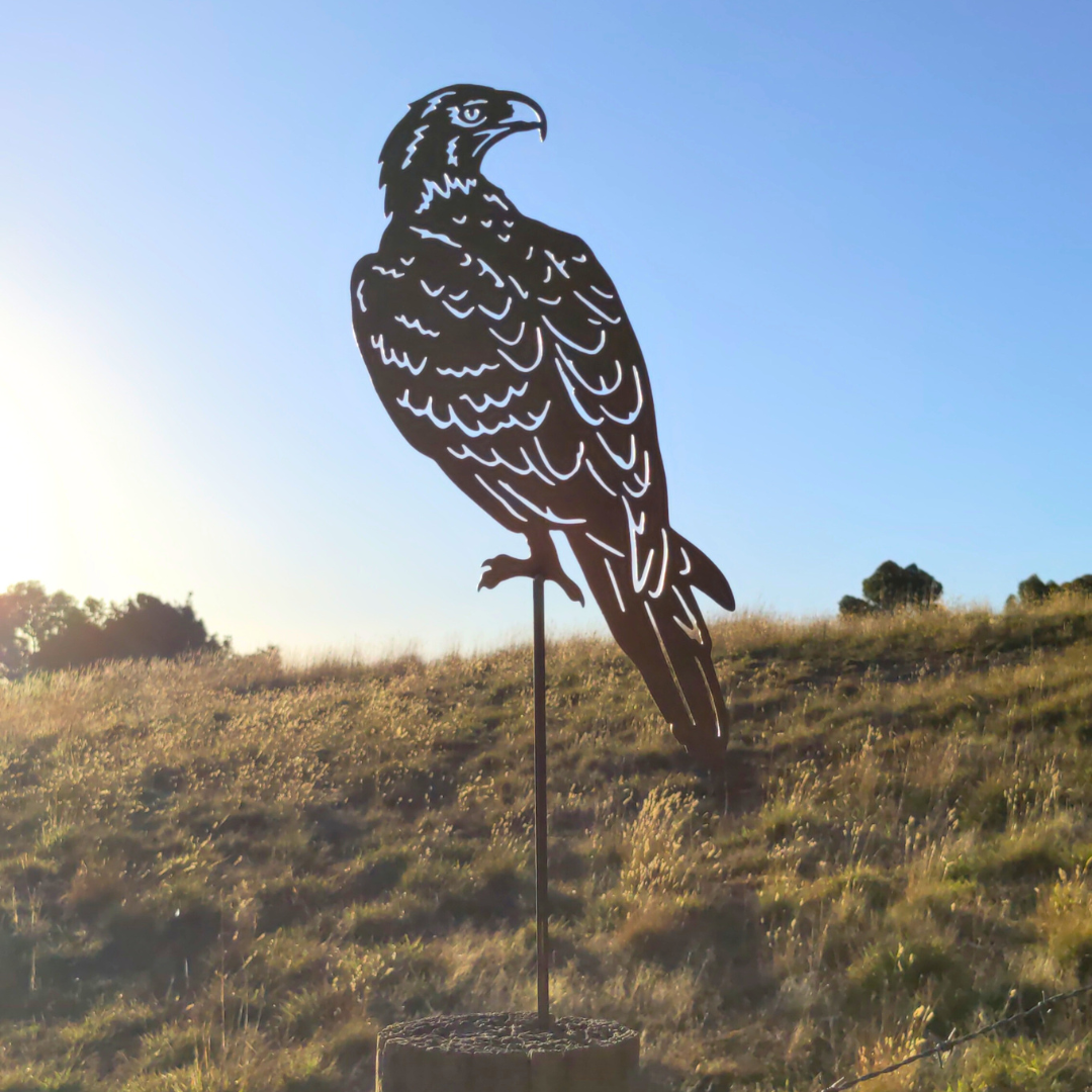 Wedge-Tailed Eagle | Australian Native Animal Garden Art – Custom Steel ...