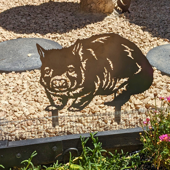 Hairy Nosed Wombat | Australian Native Animal Garden Art – Custom Steel ...