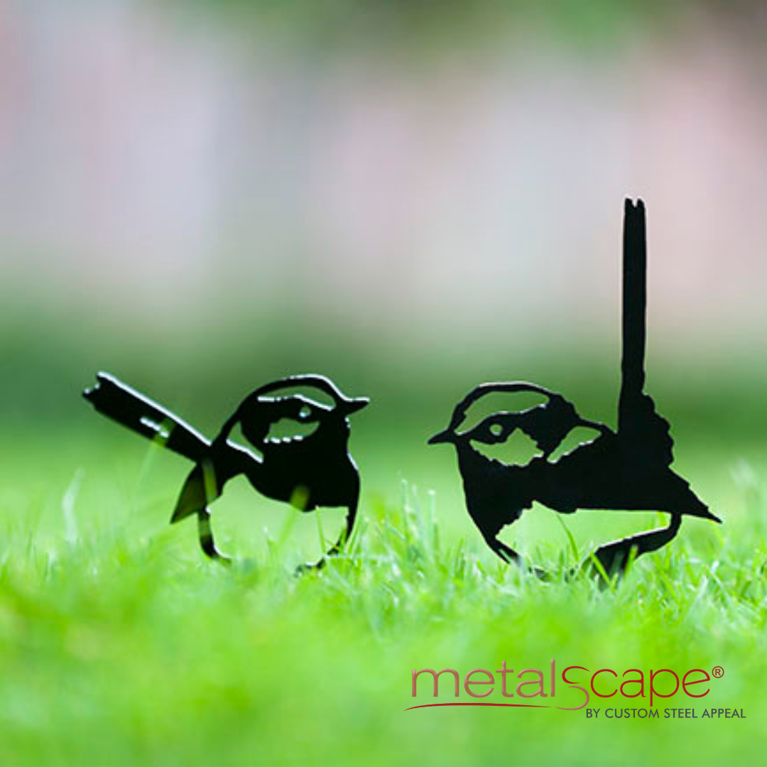 Superb Fairy Wrens - Bundle all 5 – Custom Steel Appeal