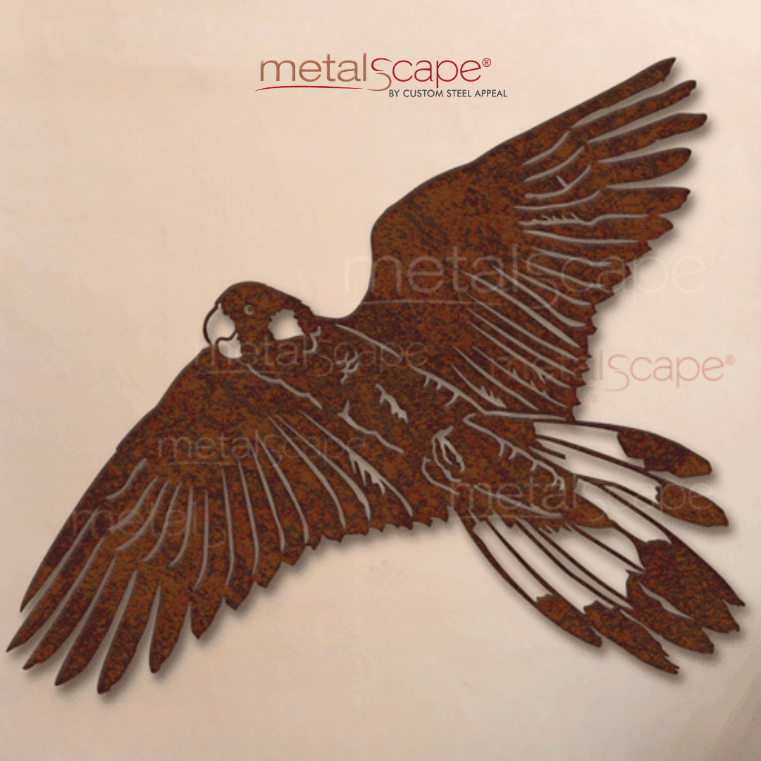 Yellow-tailed Black Cockatoo Flying Wings Out (Turning) Wall Art ...