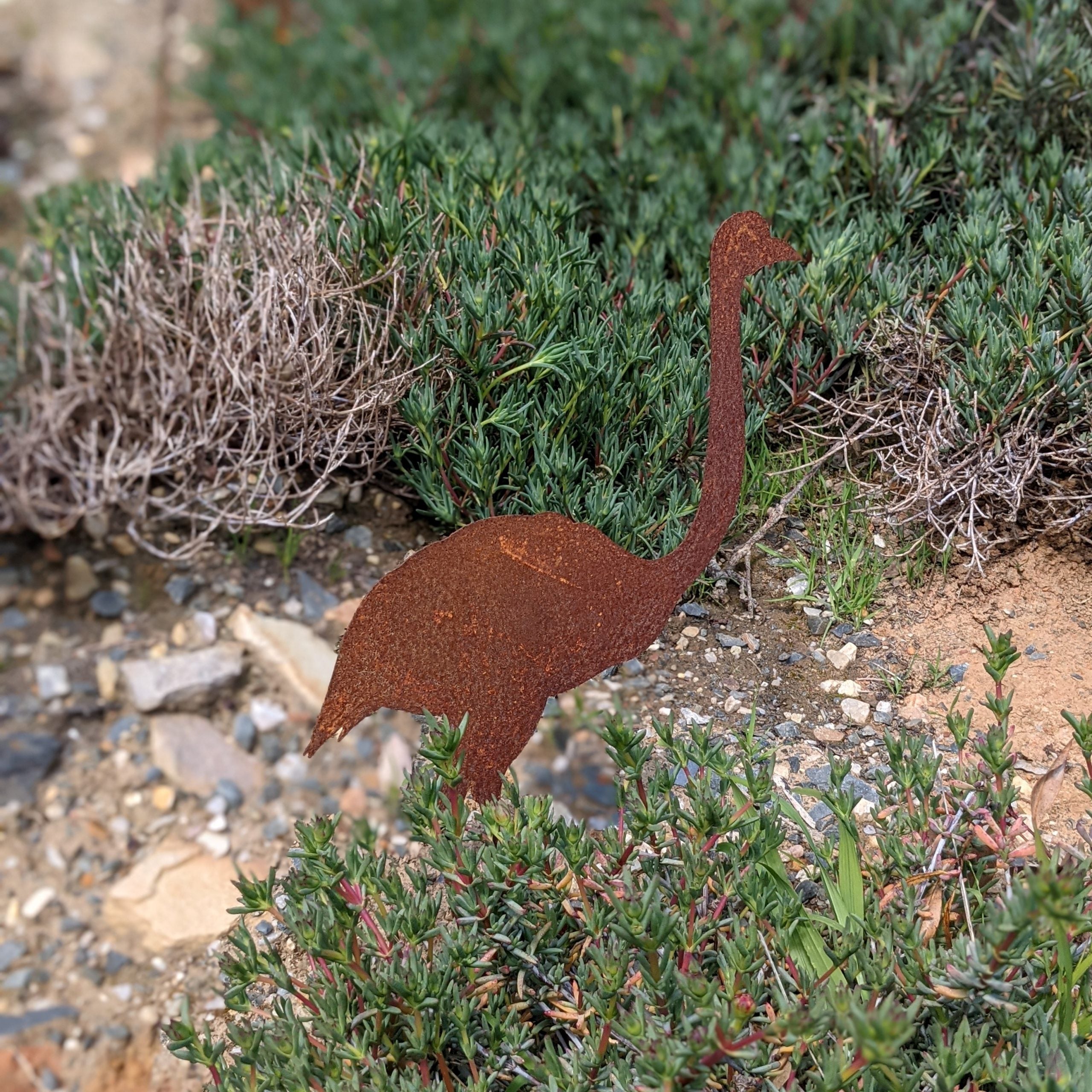 Emus – Custom Steel Appeal