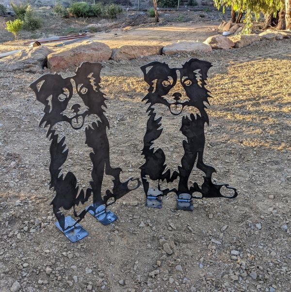 Border Collie Dog Feature – Custom Steel Appeal