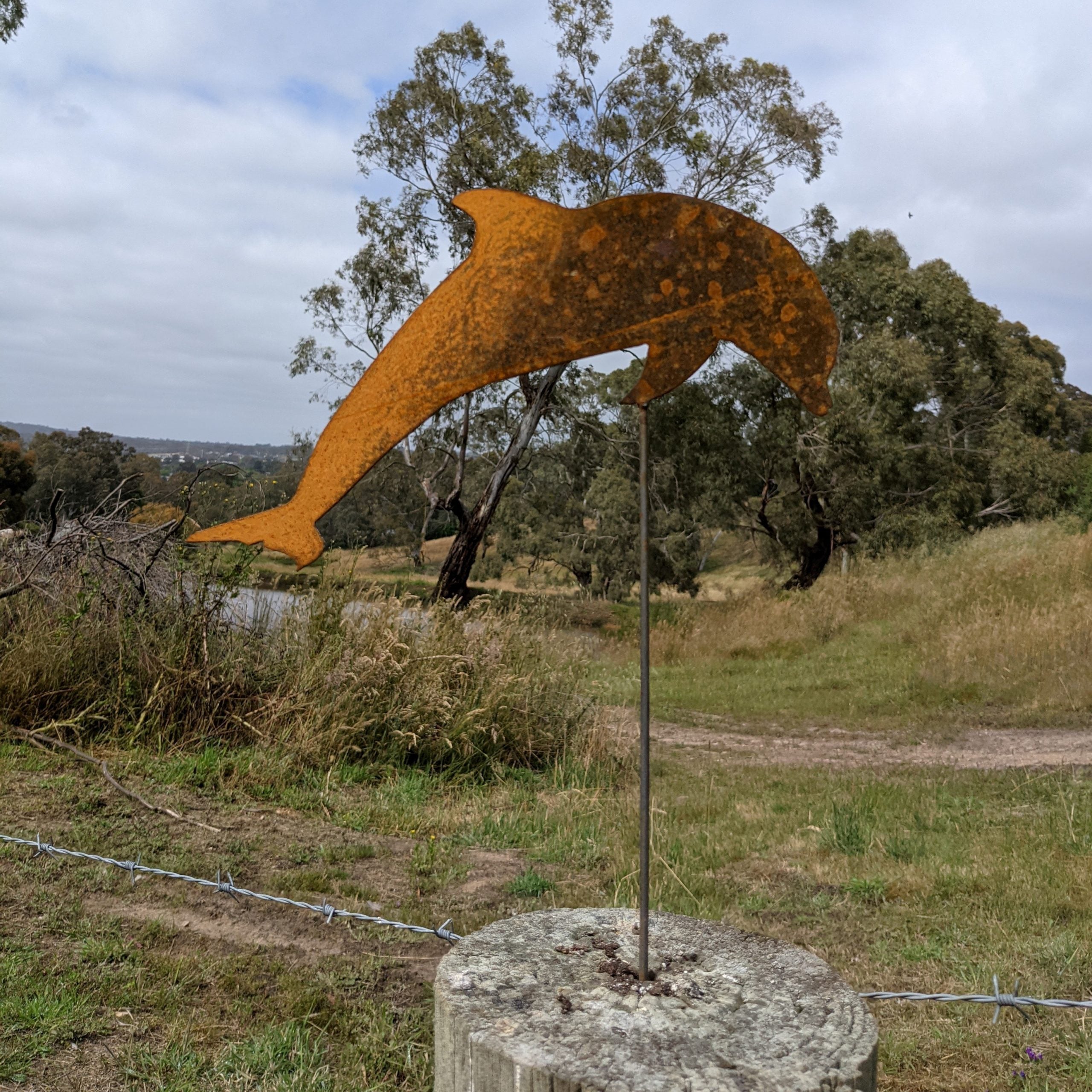 Dolphin – Custom Steel Appeal