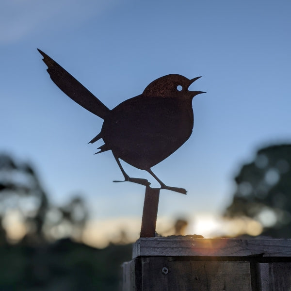 Wren – Custom Steel Appeal