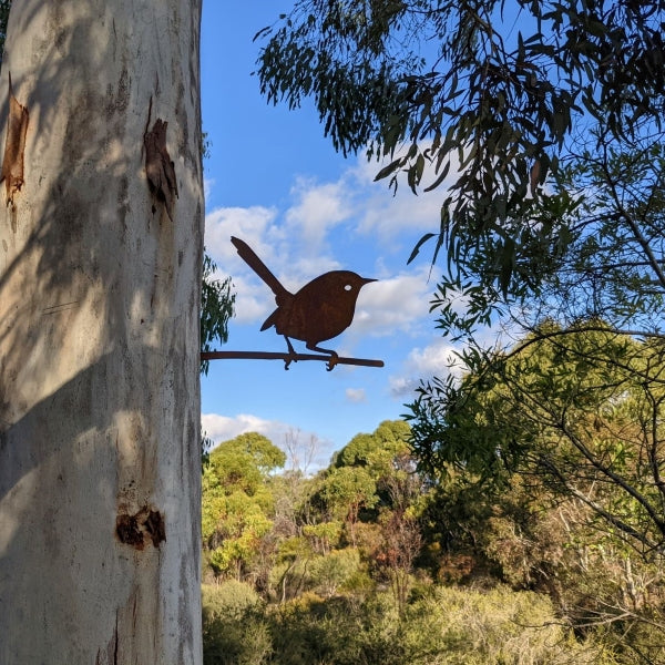 Tree Wren – Custom Steel Appeal