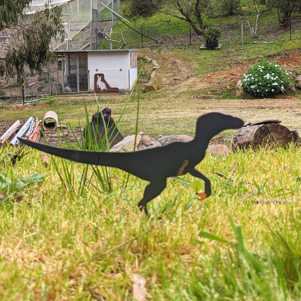 Mini Velociraptor – Custom Steel Appeal