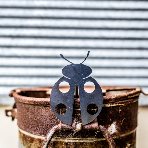 Metal Mini Ladybug – Custom Steel Appeal
