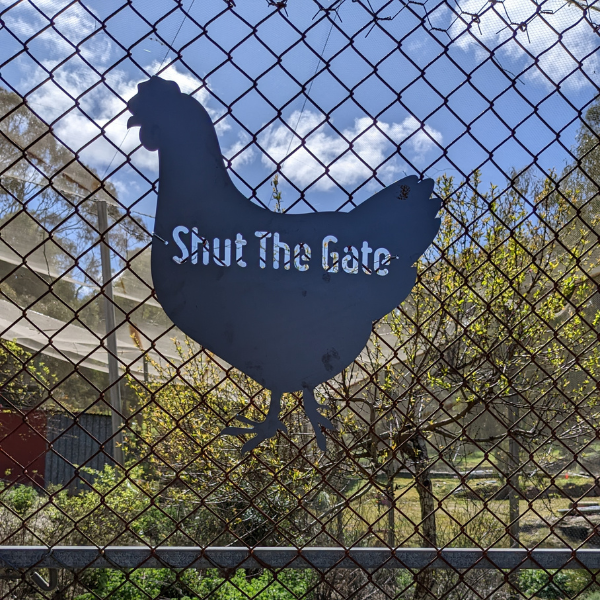 Shut the Gate Chicken Sign (Standing) – Custom Steel Appeal
