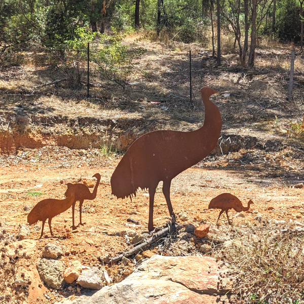 Emu Feature – Custom Steel Appeal