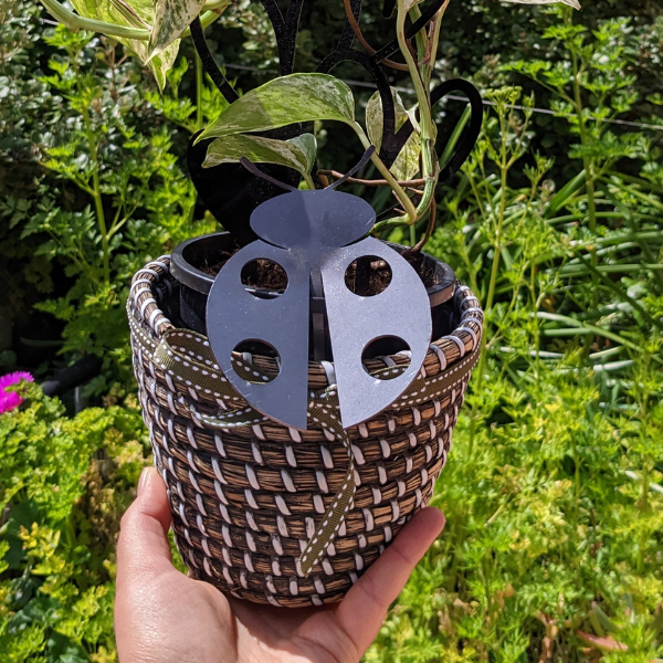 Metal Mini Ladybug – Custom Steel Appeal